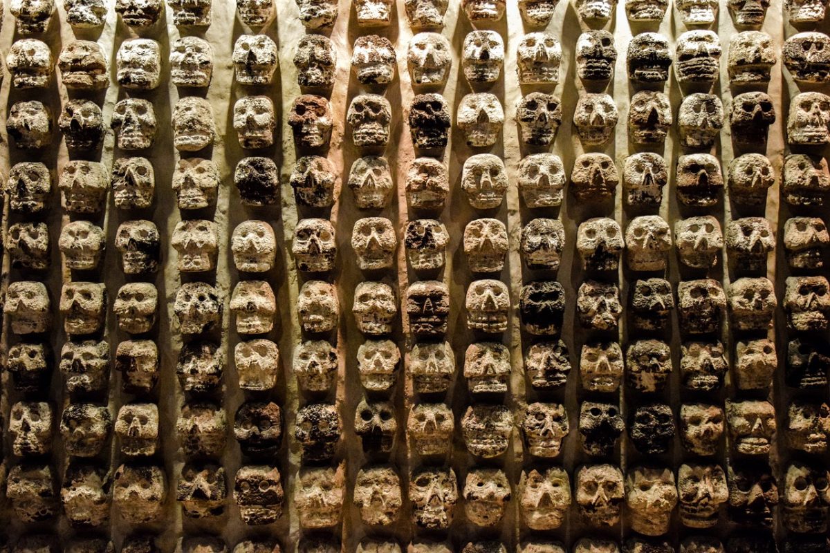 El poder de los ancestros - Terapia en sí